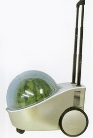 THIS YEAR IN WATERMELON: THE TOP WATERMELON STORIES OF 2010 - What ...