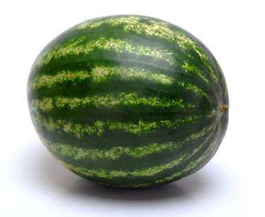SPOT THE FAKE WATERMELON NEWS - What About Watermelon?