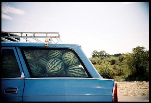 CAPTION THIS PHOTO: THE WATERMELON WAGON - What About Watermelon?