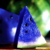 ASK THE EXPERTS: THE MYSTERIOUS BLUE WATERMELON - What About Watermelon?