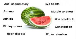 32 Fun Facts About Watermelon - What About Watermelon?