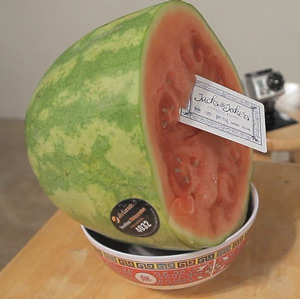 Watermelon World Records - What About Watermelon?